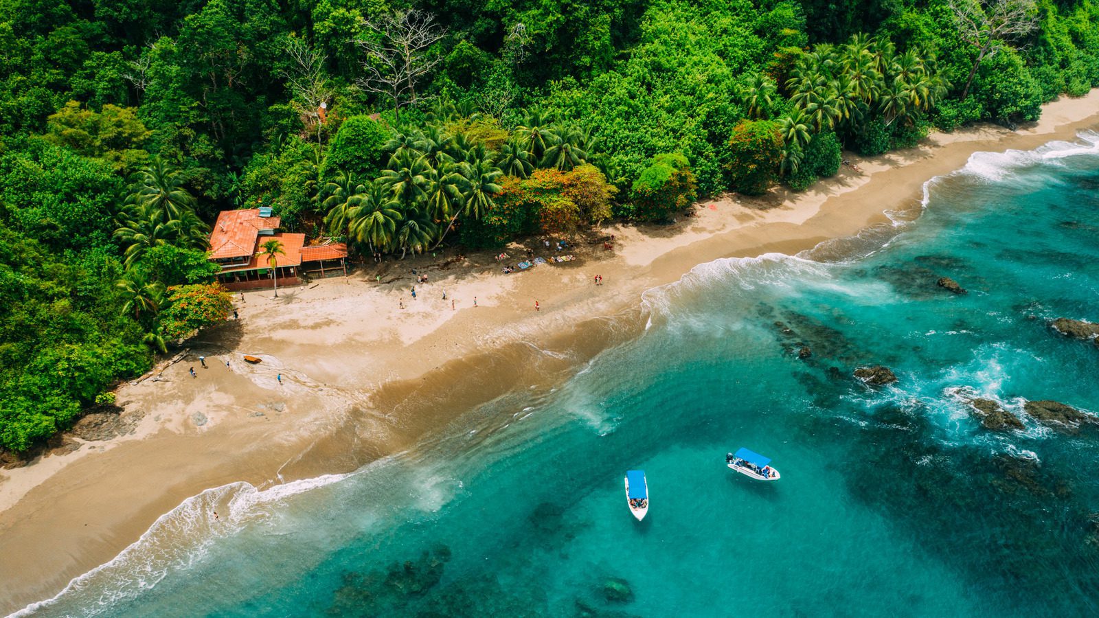 Best Time To Visit Corcovado National Park | Month-by-Month Guide